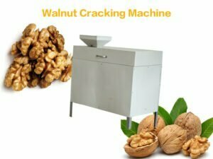 Automatic Walnut Cracking Machine | Pecan Shelling Machine