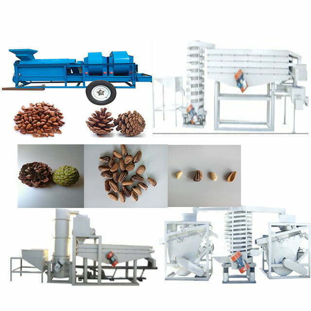 Pine Nut Shelling Production Line - Taizy Machinery